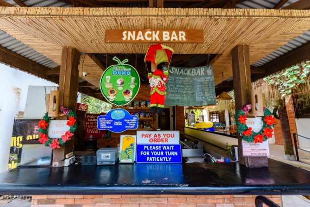 Philsouth Properties & Development Corporation